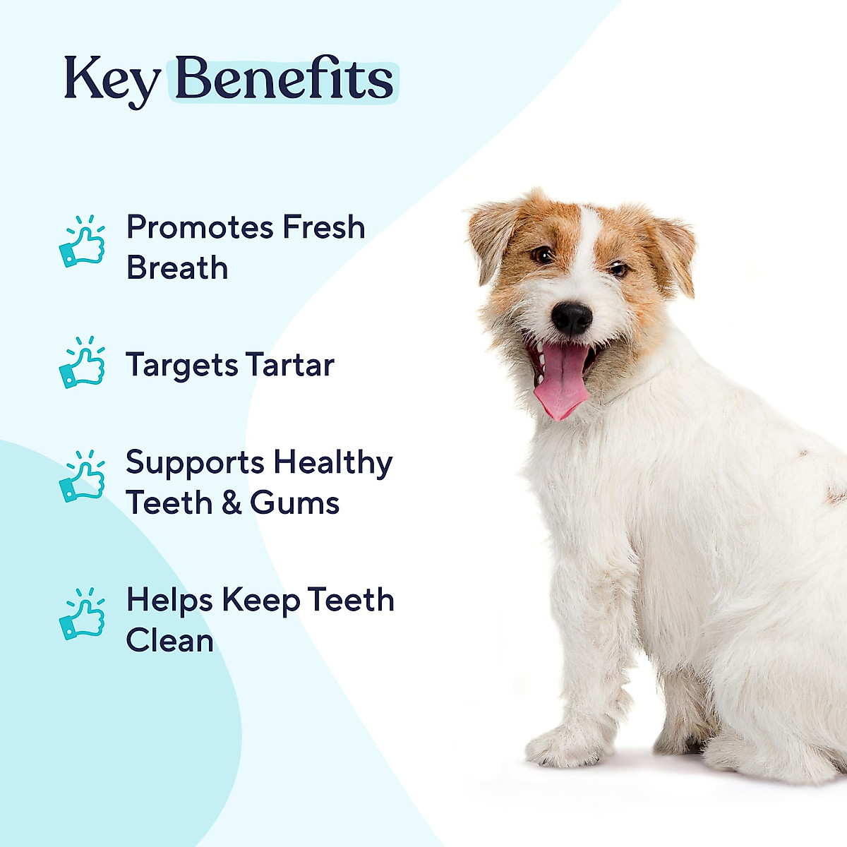 Pawfy Dog Breath Freshener with Advanced Dental Care Formula | Dog Teeth Cleaning & Mouthwash | Fix Stinky Dog Breath with Dog Water Additive | Canine Plaque and Tartar Remover for Dogs.
