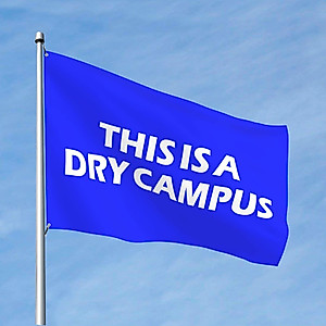 Stuff for Your Room This is A Dry Campus Flag Beer Decor Outdoor Porch Decor (Size : 30X45CM)