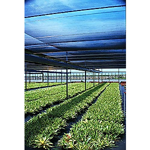 Dewitt K6 Knitted Shade Fabric Roll, Black, 100-Feet