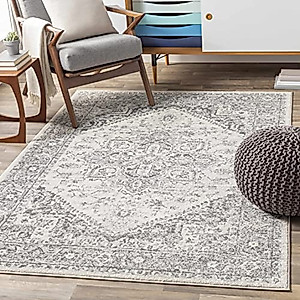 Hauteloom Rockfall Hallway, Kitchen Runner Rug - Traditional - Gray, Beige - 2'7" x 7'3"