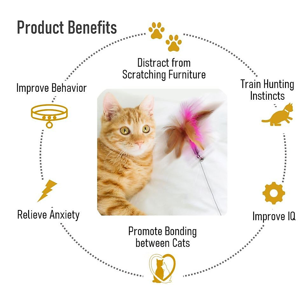 KOTYA Cat Teasing Wand Silicone Collar Hands Free Toy with Bell and Feathers (Flamingo Pink)