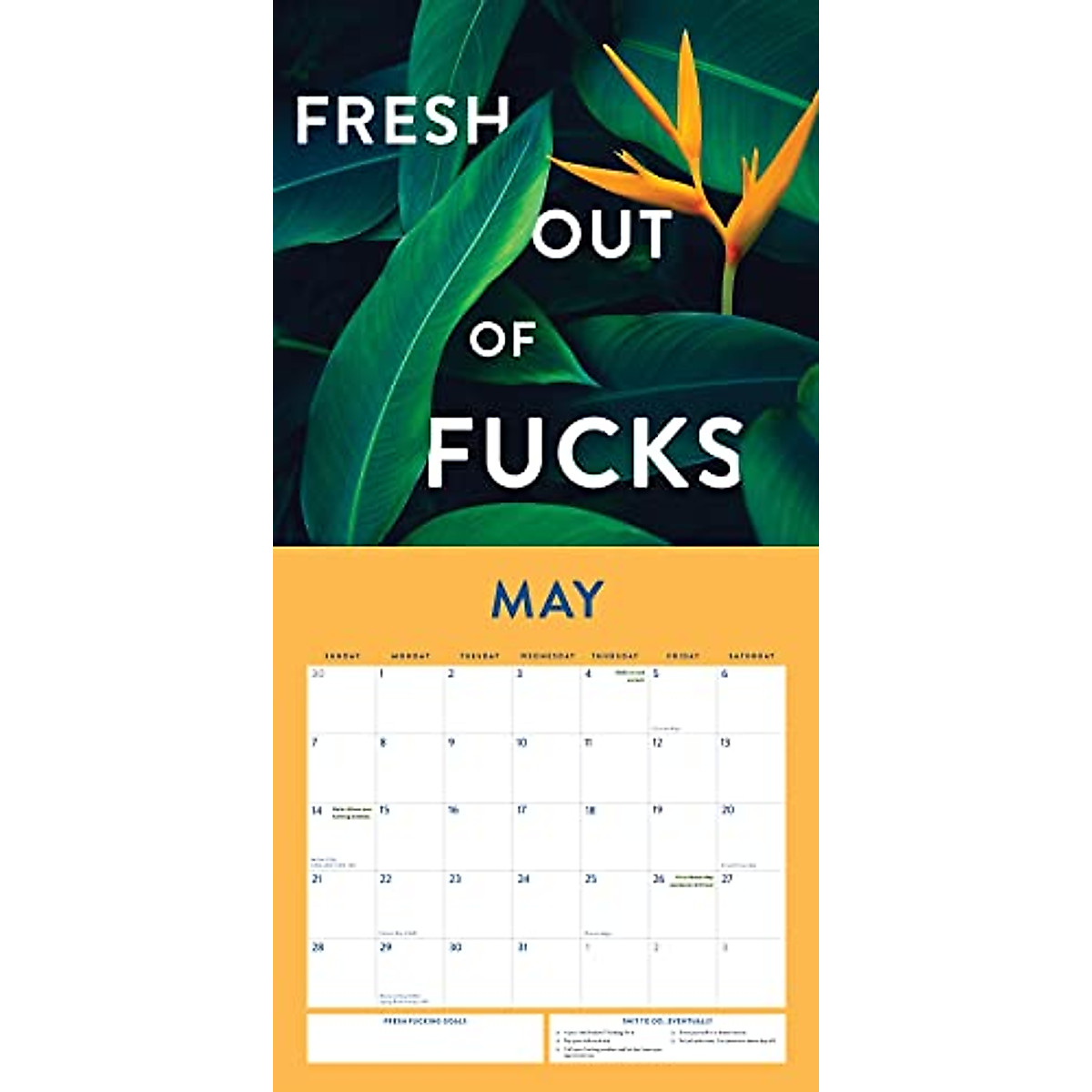 2023 Chill the F*ck Out Wall Calendar: Find Calm and Get a Fresh F*cking Start This Year (Funny 12-Month Calendar, White Elephant Gag Gift for Adults)