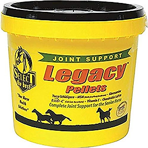 RICHDEL 784299542006 Legacy Pellets Joint Support for Senior Horses, 20 lb