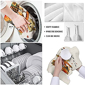 Fall Kitchen Towels Set Happy Fall Y'all Thanksgiving Dish Towel Scarecrow Dishcloths 2 Pack,Absorbent Soft Cotton Dish Cloths Tea Towels Fall Seasonal Decoration Hand Towels Set