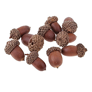 chiwanji 40 Pcs Mini Pine Cones Acorns Dried Flowers Christmas Accents Decor Ornaments