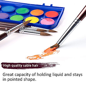 Sable Watercolor Brushes, Fuumuui 9pcs Detail to Mop Kolinsky Sable Brushes Round Pointed Professional Watercolor Brushes Perfect for Watercolor Gouache Acrylic Ink Painting