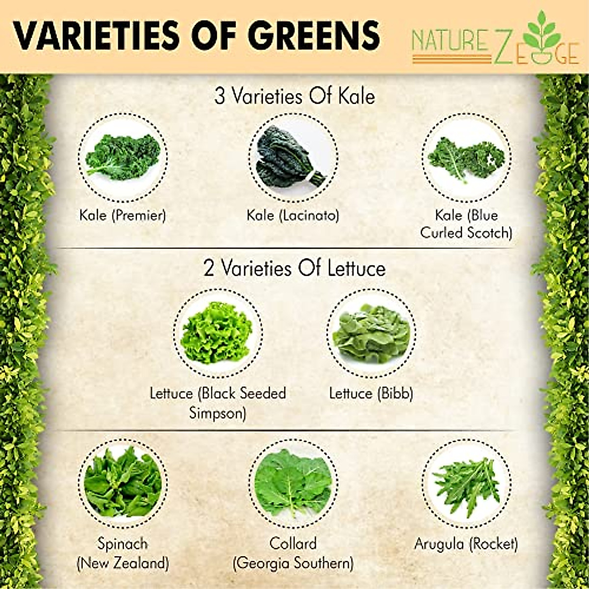 Heirloom Lettuce Mix and Greens Garden Seeds, 8 Varieties, 5300 Seeds, Hydroponic Seeds, Includes Bibb Butter Lettuce Seeds for Planting, Kale, Arugula Seeds, Spinach, Collards, and More, Non-GMO…