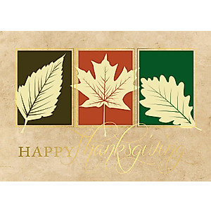 CEO Cards - Foil Stamped Thanksgiving Greeting Cards (Gold Border Leaves), 5.625x7.875 Inches, 25 Cards & 26 White with Gold Foil Lined Envelopes (TH1801)