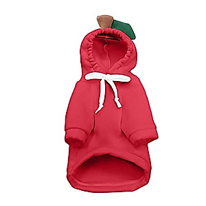 HonpraD Vest Sweater Pet Cats Love Velvet Dogs Medium-Sized Two-Legged Pet Clothes Dog Clothes Small Female