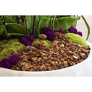 SuperMoss (23114) Orchid Potting Bark, Natural, 4 quarts