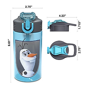 Zak Designs Disney Frozen 2 Kids Water Bottle Set with Reusable Straws and Built in Carrying Loops, Made of Durable Stainless Steel & Plastic, Leak-Proof Bottle Design (Elsa/Anna, BPA-Free, 2pc Set)
