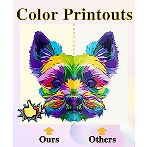 MM MUCH & MORE Compatible Toner Cartridge Replacement for Canon 045H CRG-045H 045 use with Color imageCLASS LBP612Cdw MF634Cdw MF632Cdw MF632 MF634 Printer (2x Black + Cyan + Magenta + Yellow, 5-Pack)