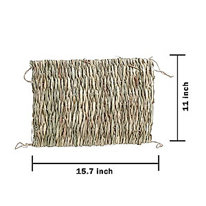 BESAZW Rabbit Mat,Grass Mats for Rabbits,Safe & Edible Rabbit Mats for Cages,Bunny Chew Toys for Rabbits (C:15.7"x11"(2 Pack))