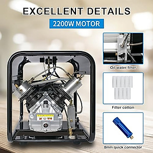 TUXING 4500Psi Pcp Compressor,Double Cylinder Scuba Air Compressor,Manually Stop Version,High Pressure Air Pump for Air Rifle Gun 6.8L Scuba Tank,Paintball Gun 30Mpa 110V(TXED011)