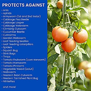 BioAdvanced 708480A Insect Killer, Vegetable Garden Insecticide, 32 Ounce, Ready-to-Spray