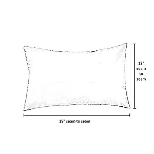 Greendale Home Fashions Outdoor Rectangle Throw Pillow (Set of 2), 2 Count (Pack of 1), Arctic