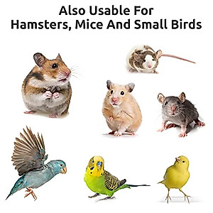 SIMENA Bird Cage Ladder, Parrot Bridge Made of Natural Wood and Rope, Interactive Bird Toy for Small and Medium Sized Birds and Parrots Like Parakeets, Cockatiels, Amazon Parrots, Conures and etc.