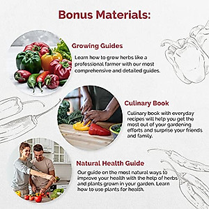 14 Sweet & Hot Peppers Seeds Variety Pack 700 Seeds Non-GMO Peppers Seeds for Planting Outdoor & Indoor Home Gardening Anaheim Jalapeno Habanero Cayenne Serrano Poblano Cubanelle Pepperoncini & More