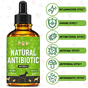 Antibiotic for Dogs | Dog Antibiotic | Antibiotics for Dogs | All Natural Antibiotics | Pet Antibiotics | Organic Ingredients | 2 oz