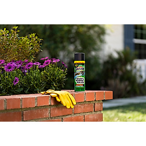 Spectracide Wasp & Hornet Killer Spray, Kills Wasps, Hornets and Yellow Jackets, Sprays Up To 27 Feet, 20 Ounce