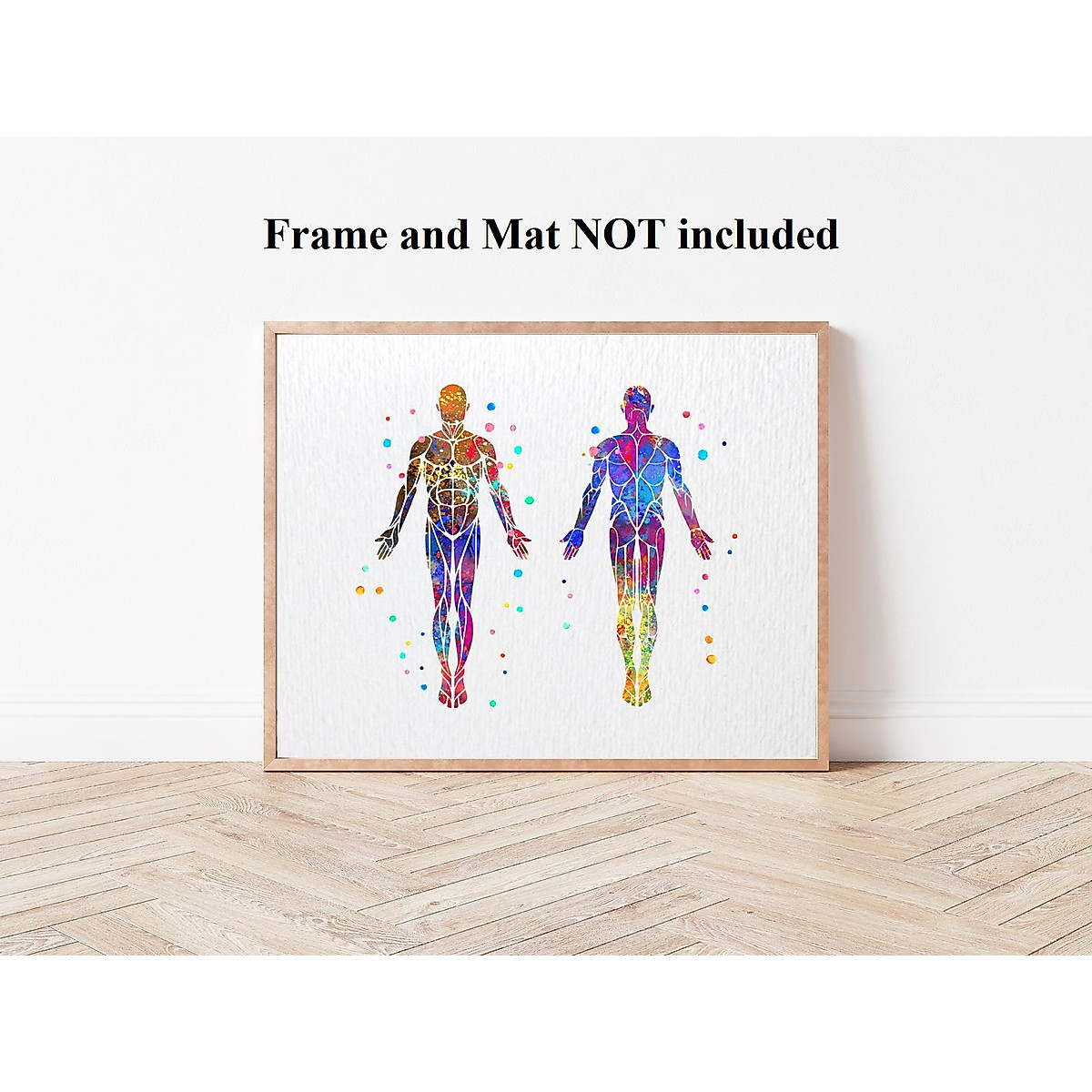 Dignovel Studios 8X10 Unframed Muscular System Human Body Anatomy Watercolor Art Print Poster Housewarming Wall Giclee Office Home Decor DN532