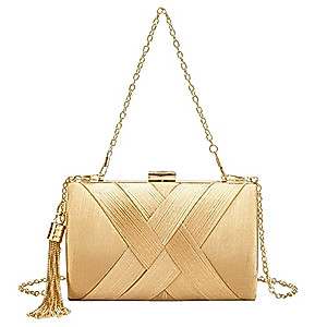 Women's Elegant Tassel Pendant Silk Evening Bag Clutch Purse for Bride Wedding Prom Night Out Party (GOLD)