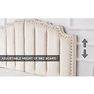 Kingfun Mid Century Headboard for Queen Size Bed,Velvet Upholstered Tufted Bed Headboard with Nailhead Decor,Adjustable Curved Solid Wood Head Board Vertical Channel Design (Medium Beige)