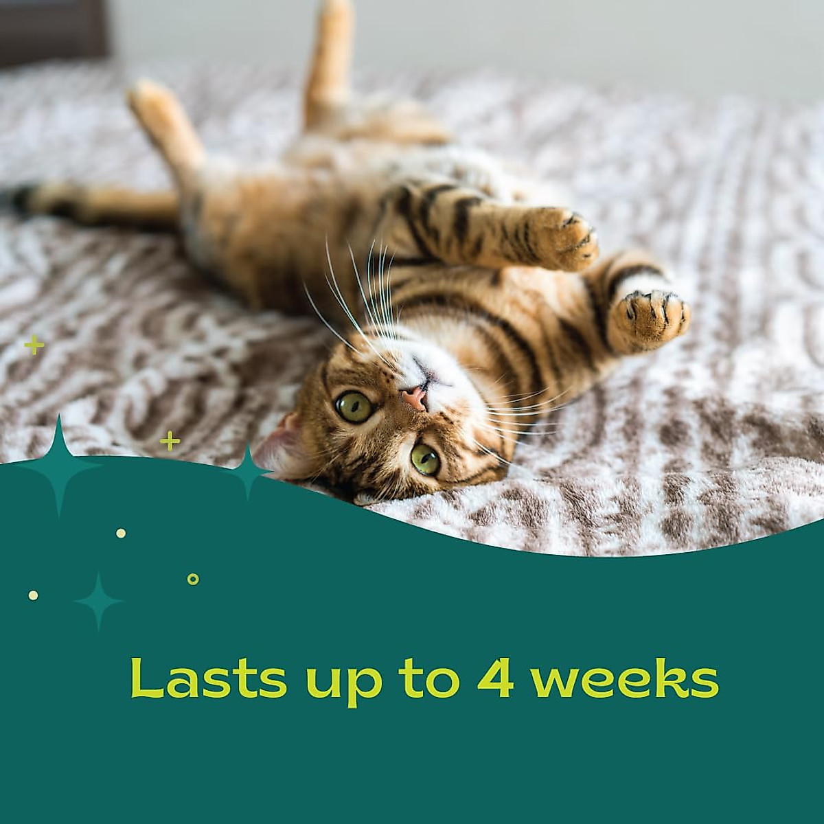 bSerene Pheromone Calming Collar for Cats Up to 30 Days Stress Relief Promotes Calmness, Reduces Hiding, Excessive Meowing, Urine Marking, Aggression, Travel Stress Drug-Free, Vet-Tested