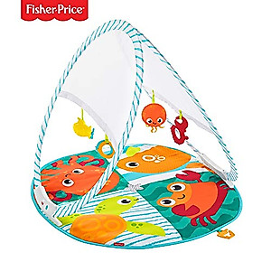 Fisher-Price Fold & Go Portable Gym