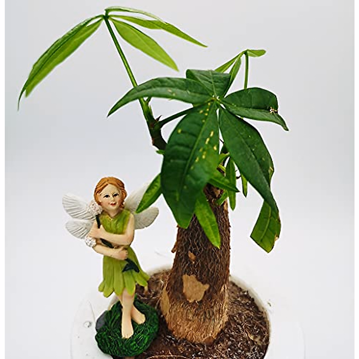 JIUMO Fairy Garden Fairies Outdoor Miniature Garden Fairy Set of 2 Boy Fairies Figurines Small Little Tiny Miniature Forest Fairies Ornaments Fairy Garden Accessories
