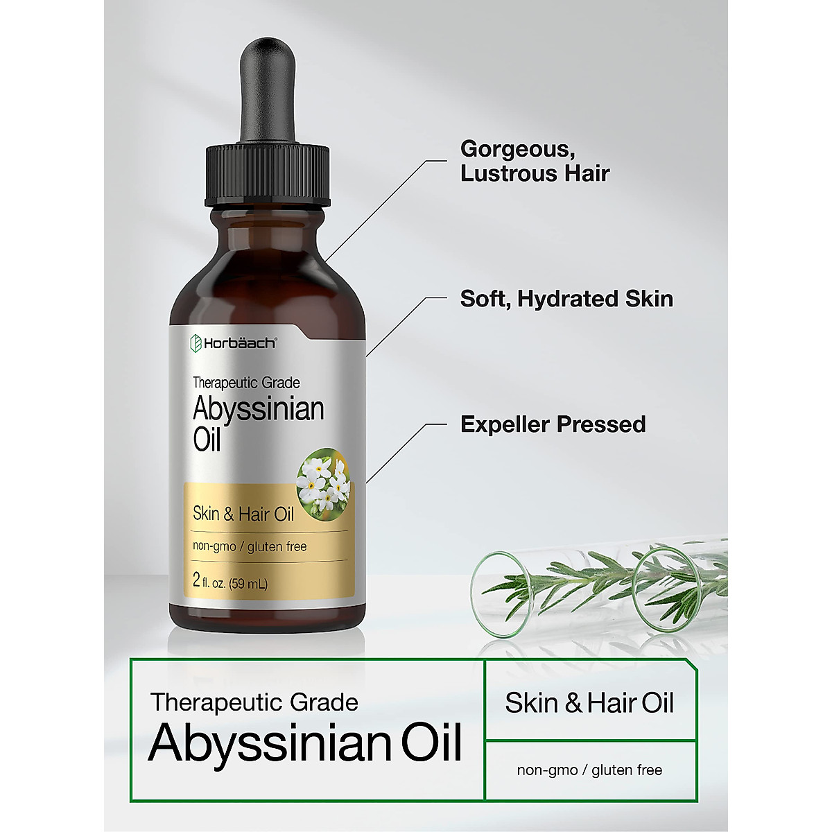 Horbaach Abyssinian Oil | Hair and Skin Oil | Paraben, SLS and Fragrance Free | from Crambe Abyssinica Seed
