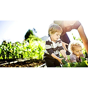 Heirloom Futures Seed Pack with 55 Varieties of Vegetable Seeds. 100% Non GMO Open Pollinated Non-Hybrid Naturally Grown Premium USA Seed Stock for All Gardeners.