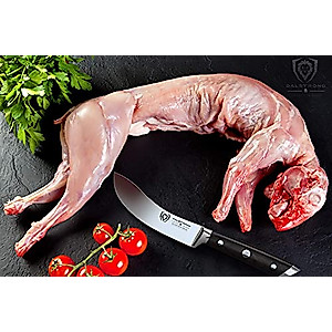 Dalstrong Skinning & Boning Knife - 5.5" - Gladiator Series Elite - Forged German High-Carbon Steel - w/Sheath - NSF Certified