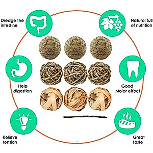 RoyalPolar 8 Pcs Small Animals Chew Toys Rat Activity Ball Guinea Pig Play Toys for Rabbits Squirrel Gerbils Small Pets Chewing and Playing Exercise Teeth Care, Pet Cage Entertainment Accessories