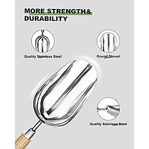 Soil Scoop Garden Tool Garden Dirt Scooper Hand Shovel for Planting Gardening Composting Potting Transplanting Filling Bird Feeders Stainless Steel Bonsai Soil Scoop Plant Shovel with Hardwood Handle