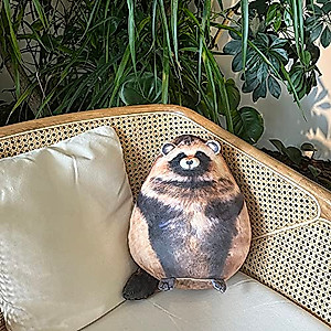 Raccoon Plush Pillow, Cute Raccoon Stuffed Animals Plush Toy,Soft Raccoon Plushie Hugging Pillow for Sleeping,Kawaii Plush Throw Pillow Doll Big Plush Toys Birthday Gifts for Kids Girls Boys(13inch)