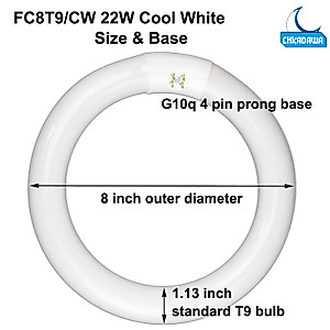 CHKADAWA FC8T9/CW Circular Fluorescent Light Bulb, 8 Inch Round T9 22W Circline Bulbs Replacement for Circle Ceiling Fixture, Cool White 4100K 1350 Lumens, G10q 4 Pin Base, 2 Pack