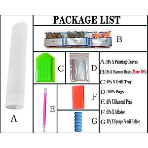 ZQEATRY Diamond Art Paintings Kits for Adults,DIY Boot Flower Diamond Art Kits for Adults Beginner, 5D Round Full Drill Diamond Dots Gem Art Crafts for Home Wall Decor 12x16inch