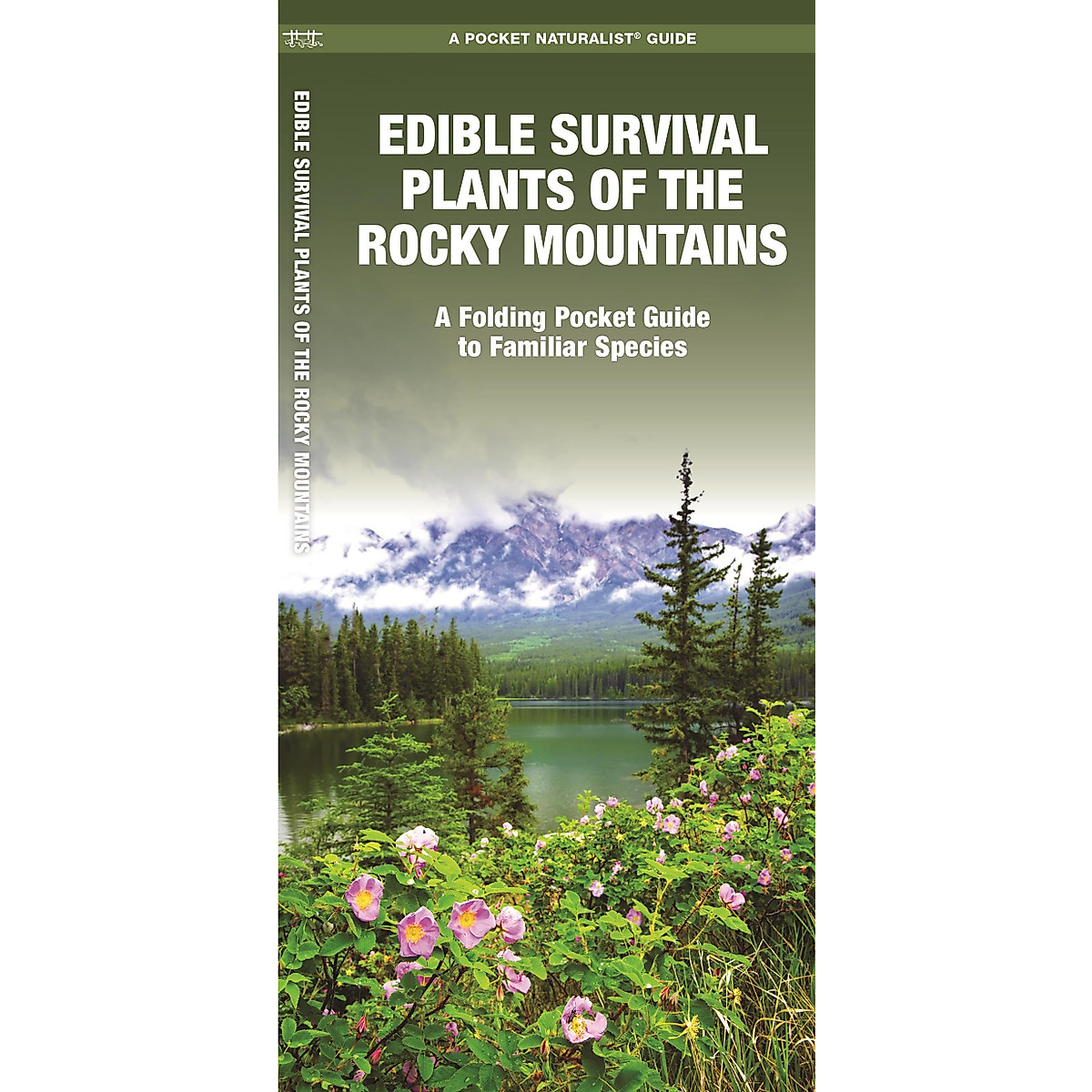 Edible Survival Plants of the Rocky Mountains: A Folding Pocket Guide to Familiar Species (Outdoor Recreation and Survival)