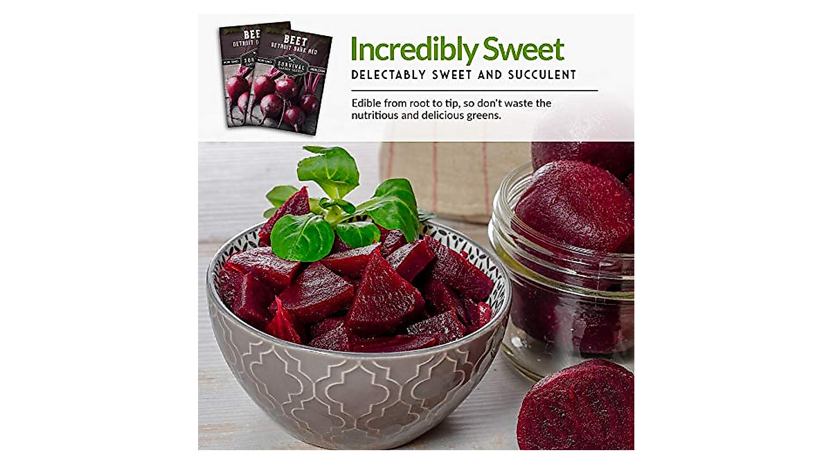 Grow Delicious Detroit Dark Red Heirloom Beet Seeds Today