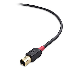Cable Matters USB C Printer Cable 13.1 ft (USB C to USB B Cable, USB B to USB C Cable) Compatible with Printer, MIDI Controller, MIDI Keyboard and More in Black - 13.1 Feet