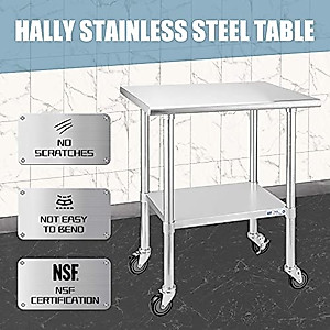 Hally Stainless Steel Table for Prep & Work 24 x 30 Inches with Caster Wheels, NSF Commercial Heavy Duty Table with Undershelf and Galvanized Legs for Restaurant, Home and Hotel