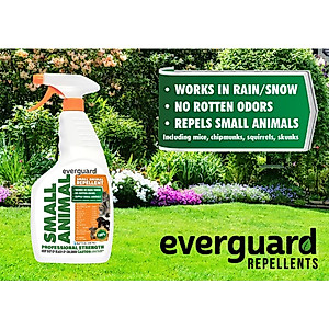 Everguard ADPAR032 Purpose Small Animal Repellent, Dries Clear