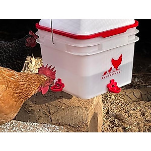 RentACoop 2 Gallon Chicken BPA-Free Plastic Bucket Waterer Set with 4 Horizontal Nipples - Center Placement