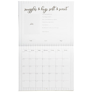 C.R. Gibson BA3-24591 Gender Neutral Welcome Baby's First Year Keepsake Calendar, 11" W x 18" H, Gray and Silver