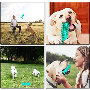 Erichome Dog Toothbrush Chew Toy - Puppy Dog Teeth Cleaning Stick - Natural Rubber Dental Toothbrush Toys for Dog,2PC with Finger Toothbrush (Squeak)