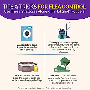 Hot Shot Bed Bug & Flea Fogger Pack 3-Pack, Kills Bed Bugs and Fleas Indoors, Get Rid of Fleas In House, Inhibits Reinfestation Up to 7 Months