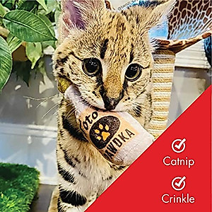 Huxley & Kent H&K Cat Toy | Toto's Pawdka | Plush Cat Toy with Catnip Inside | Funny Realistic Cat Gift | Fun, Durable, and Safe Cat Toys