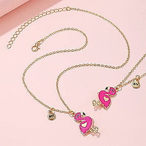 Best Friend Necklace Gifts Friendship Necklace Magnetic Matching BFF Necklace for 2 Girls (D: Hot Flamingo)