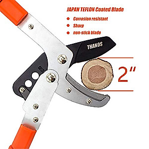 THANOS A1101 Extendable Anvil Loppers Tree Trimmer with Compound Action,Chops Thick Branch Ease,28-40'' Telescopic Heavy Duty Branch Cutter,2 inch Clean Cut Capacity.